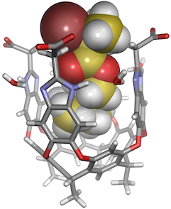 Organic Chemistry | Department of Chemistry